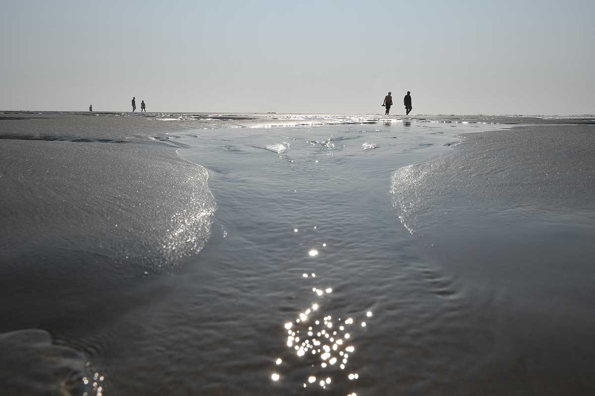 Wattwanderung Nordsee 2024 | Ihr ultimativer Guide